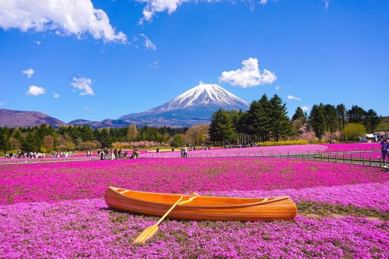 From Tokyo: Mt. Fuji And Hakone Private Sightseeing Day Trip - Customer Reviews and Feedback