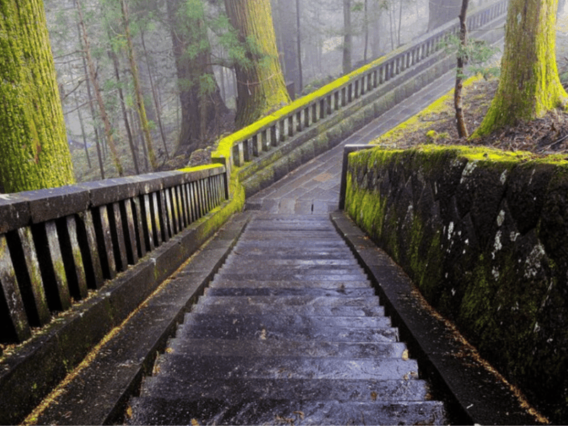 From Tokyo: Nikko Customised Private 1 Day Sightseeing Tour - Booking and Reservation
