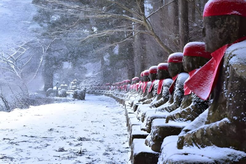 From Tokyo: Nikko Full-Day Private Sightseeing Day Trip - Frequently Asked Questions