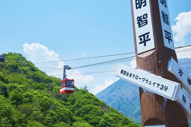 From Tokyo: Nikko Private Day Trip With English Guide - Scenic Lake Chuzenji