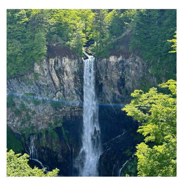 From Tokyo: Nikko Unesco Fully Customised Private Car Tour - Customer Reviews and Ratings