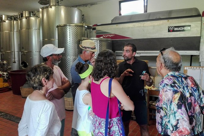 From Venice Wine and Food Tour Review - Pricing and Inclusions