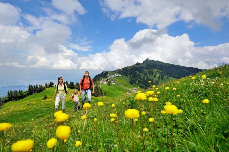 From Zürich: Day Trip to Rigi and Lake Lucerne - Transportation and Meeting Point