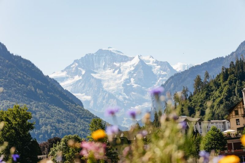 From Zurich: Guided Day Trip to Jungfraujoch With Train Ride - Getting to Jungfraujoch