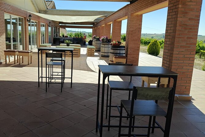 Full Day at the Winery, Visit, Tasting, Aperitif and Lunch - Wine Tasting