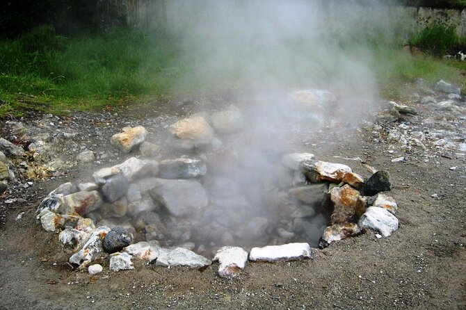 Full-Day Furnas Adventure: Lake, Fumaroles and Thermal Pools - Professional Guides and Their Expertise