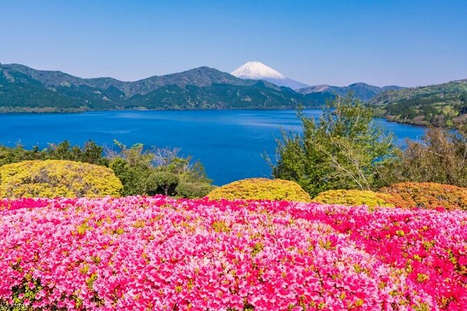 Full Day Guided Trip to Mt. Fuji and Hakone From Tokyo - Exploring Hakone and Mt. Fuji