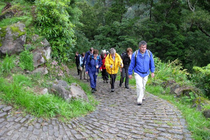 Full Day Hiking Faial Da Terra (Min. 2 Persons) - Aligning Expectations With the Itinerary
