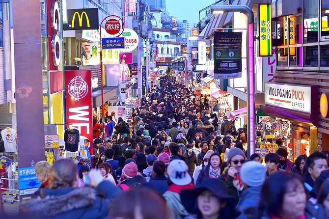 Full Day Private Day Trip in Tokyo City - Booking and Confirmation