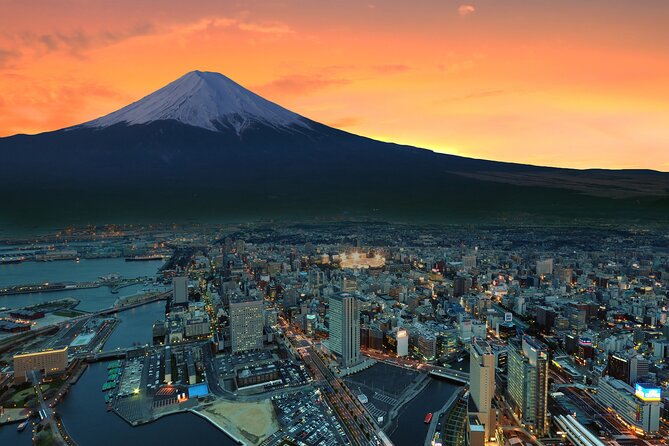 Full Day Private Tour in Mt. Fuji and Hakone - Cultural Immersion at Saiko Iyashi No Sato Nemba