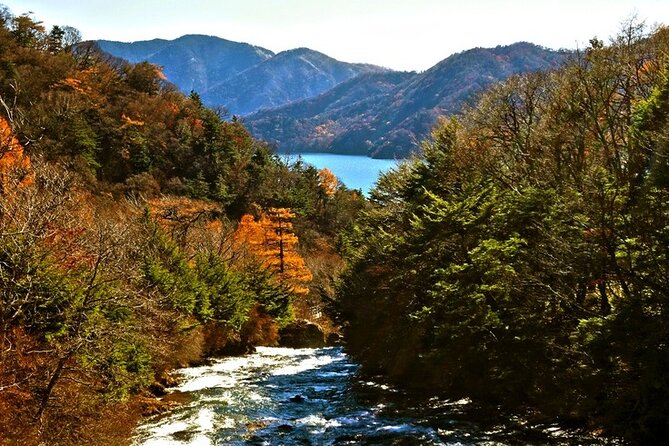 Full Day Private Tour & Sightseeing to Nikko(Eng Speaking Driver) - Unique Cultural Experiences