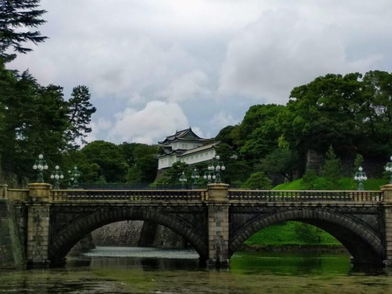 Full Day Tokyo Customize Unforgettable Private Tour - Venture Into Shinjukus Entertainment Hubs