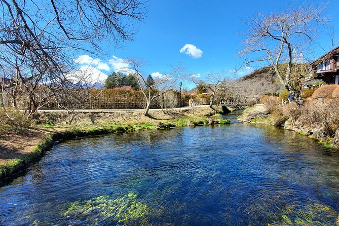 Guided 2 Days Tour Tokyo ,Mt Fuji and Hakone GREEN NUMBER PLATES - Discover the Highlights of the Tour