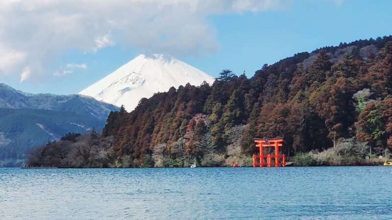 Guided Hakone Private Tour GREEN NUMBER PLATE - Exploring Lake Ashi and Mount Fuji
