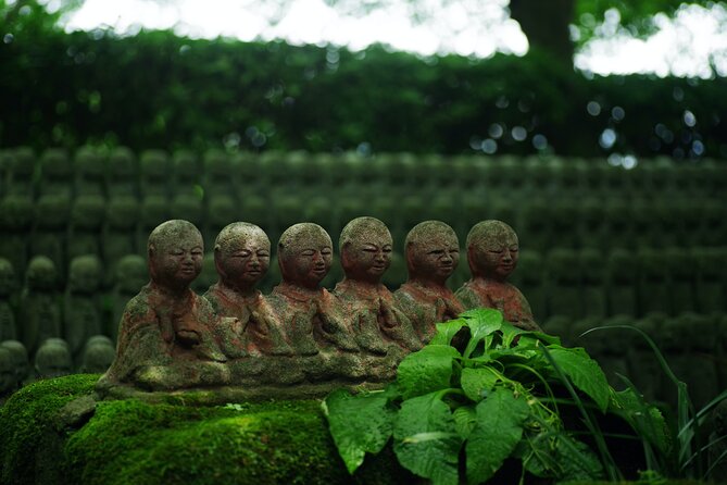 Guided Private Kamakura Tour GREEN NUMBER PLATES - Why Choose This Guided Private Tour