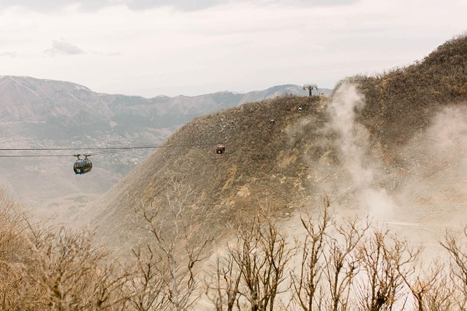 Hakone Private One Day Tour From Tokyo: Mt Fuji, Lake Ashi, Hakone National Park - Peak Seasons and Accessibility