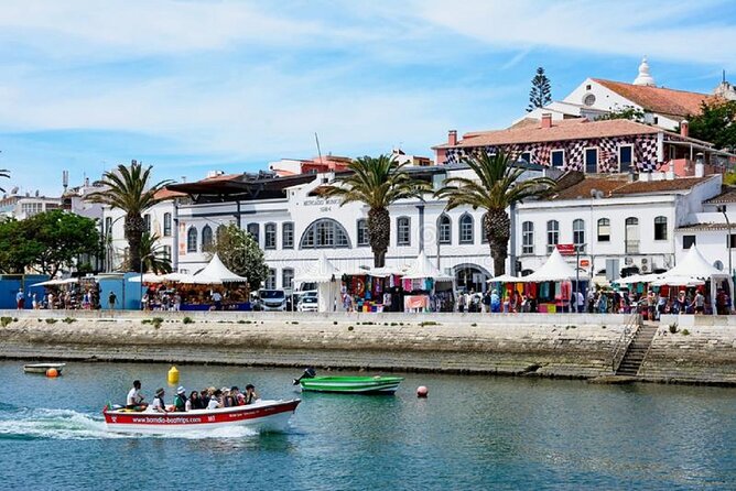 Half-Day Tour in Lagos and Sagres - Tour Accessibility
