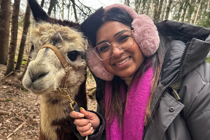 HELSINKI: Alpaca Farm Tour With Guided Walk - Experience the Guided Walk