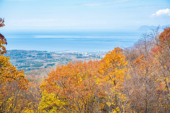 Hike Mt. Usu and Visit Lake Toya Day Tour - Discovering Lake Toya