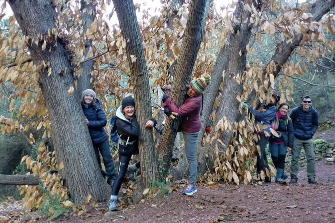 Hike the Cork Oak Trail and Try Some Delicious Cheese - Getting to the Trailhead