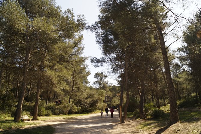 Hiking in the Calanques National Park From Luminy - Reviews From Fellow Hikers
