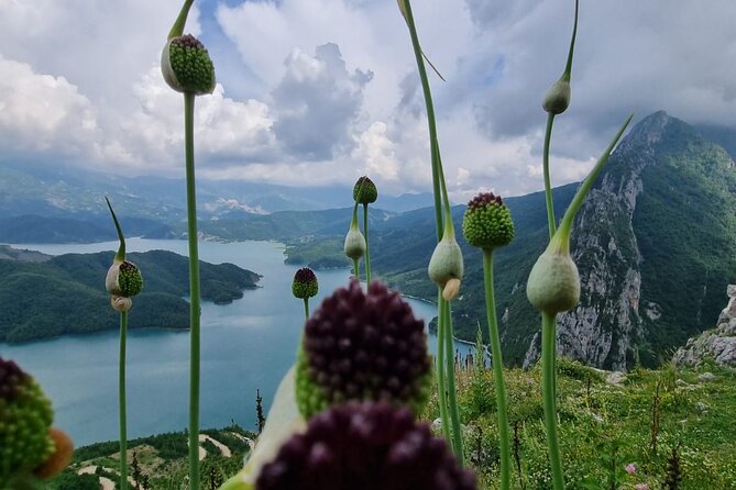 Hiking to Gamti, Bovilla Lake Review - Tour Structure