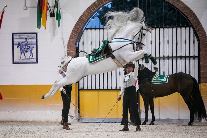 Horse and Flamenco Show in Malaga With Dinner - Highlights of the Horse and Flamenco Show