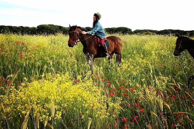 Horse Day in Ancient Rome - Recommendations From Travelers