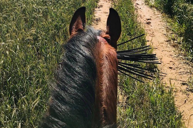 Horseback Riding Around Doñana - Unique Highlights