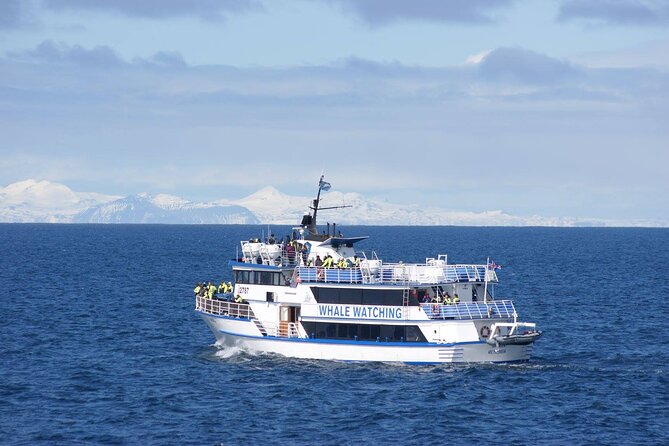 Icelandic Horse Riding and Whale Watching Tour From Reykjavik - Guaranteed Sightings and Complimentary Ticket Offers
