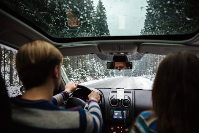 Icelands Golden Circle Self-Guided Audio Driving Tour - Booking and Cancellation Policy