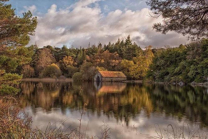 Innisfallen Island - Scenery & History of Killarney National Park - Wildlife Encounters on Innisfallen Island