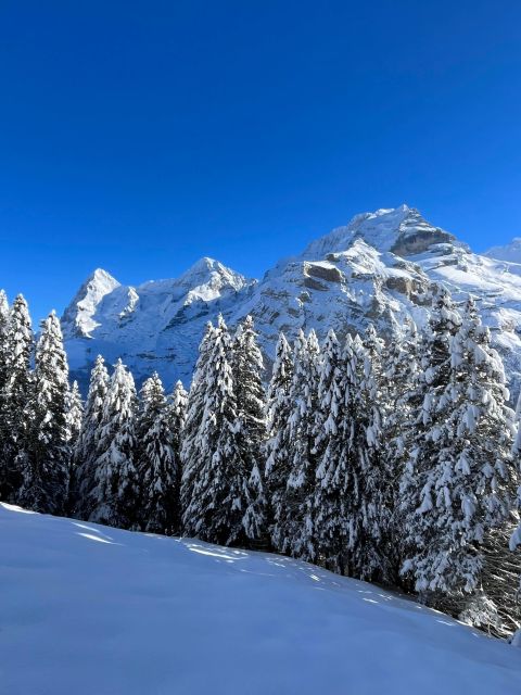 Interlaken. Hiking and Fondue Adventure in the Swiss Alps. - Physical Condition and Requirements