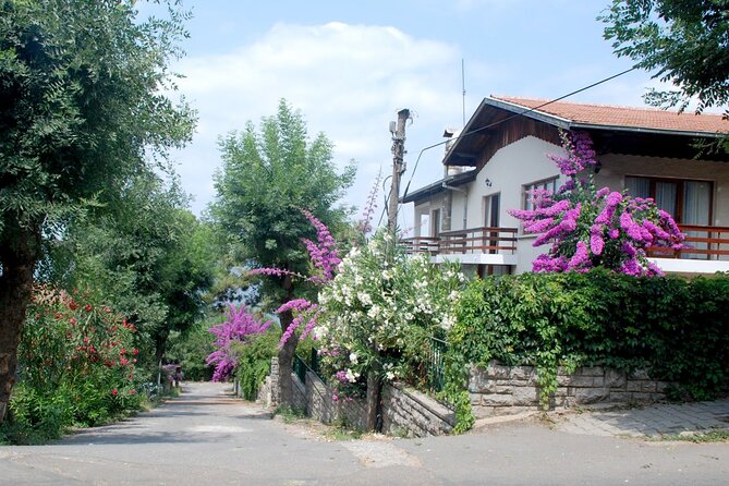Istanbul Princess Islands Tour Lunch Included - Island Dining and Shopping