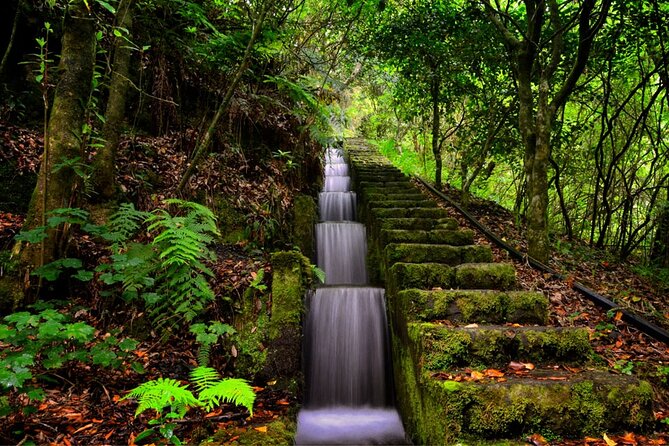 Jeep Safari in Pico Areeiro Santana Faial Full Day Tour - Preparing for the Adventure