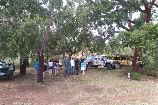 Jeep Safari Tour - Half Day - Exploring the Algarves Wild Landscapes
