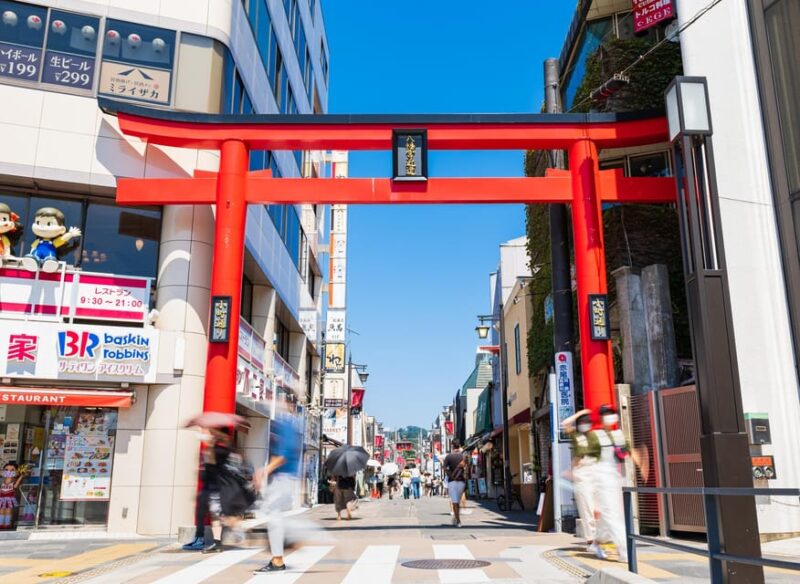 Kamakura: Greedy Gourmet and Temple Tour - Exploring Komachi Dori Street
