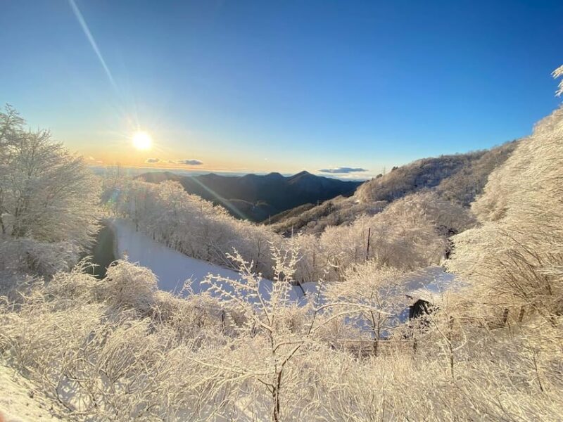 Kanto 10-Hour Chartered Day Trip｜Nikko - Booking and Payment