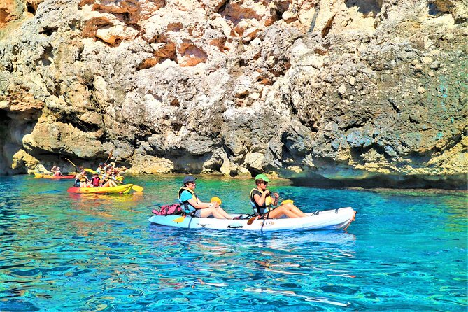 Kayak Secret Beach - Wildlife Spotting Opportunities