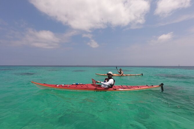 Kayak & Snorkel: Private Tour in Yanbaru, North Okinawa - Discovering the Underwater Wonders of Yanbaru