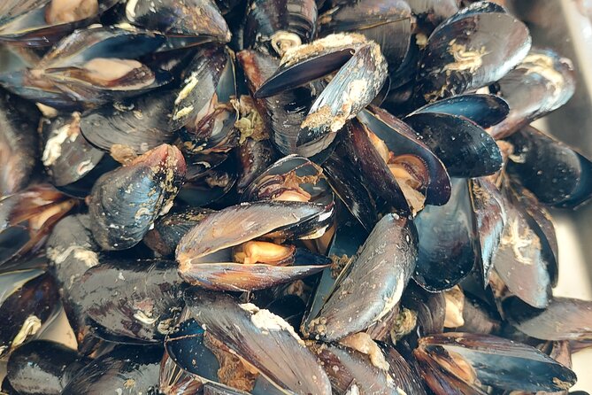 Kayaking and Mussels Tasting at Krka River Estuary-Private Tours - Customer Feedback