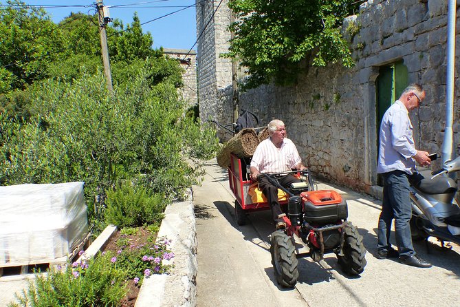 Kolocep Island Hiking and Swimming Full Day Trip From Dubrovnik - Previous Traveler Experiences and Feedback