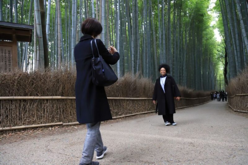 Kyoto Arashiyama Best Spots 4h Private Tour - Why Choose This Tour