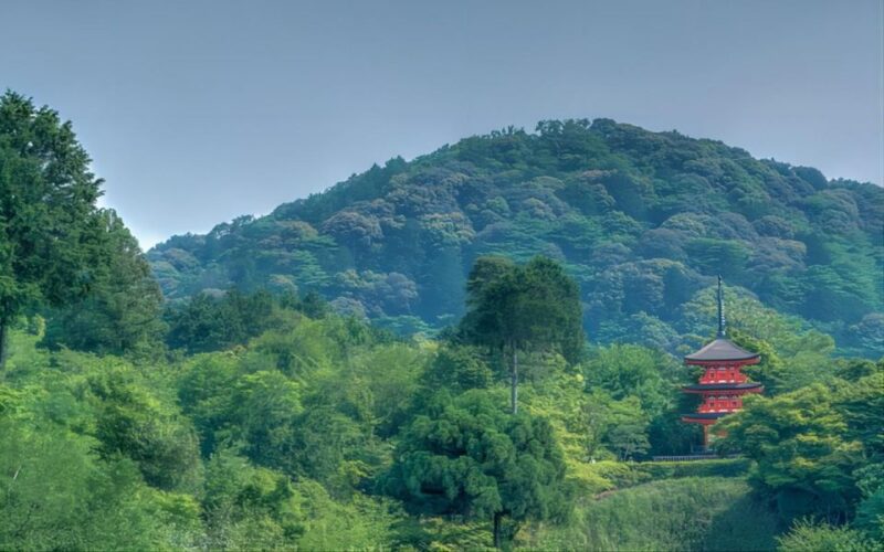 Kyoto: Customizable Private Tour With Hotel Transfers - Tour Flexibility and Convenience