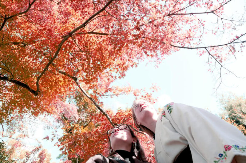 Kyoto: Discover the Oldest Geisha District, Kamishichiken - Frequently Asked Questions