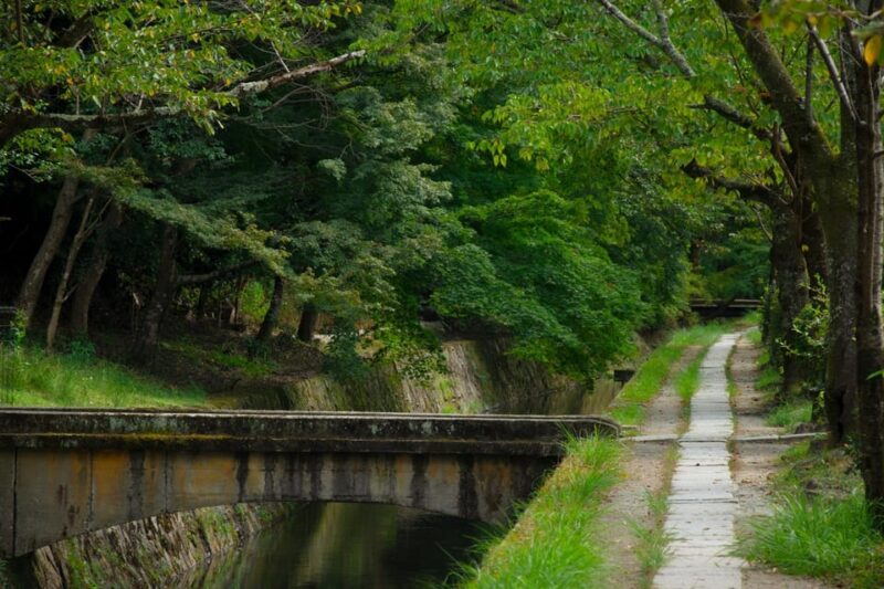 Kyoto E-Bike Tour - E-Bike Experience