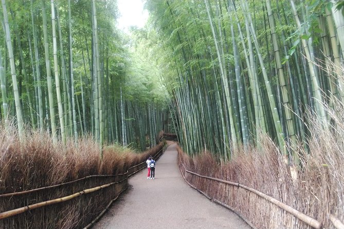 Kyoto Early Riser Platinum One-Day Walking Tour - Feedback and Recommendations