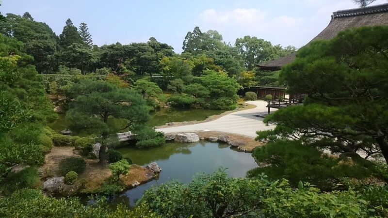 Kyoto: Historic Higashiyama Walking Tour - Visiting Kiyomizu-dera and Higashiyama