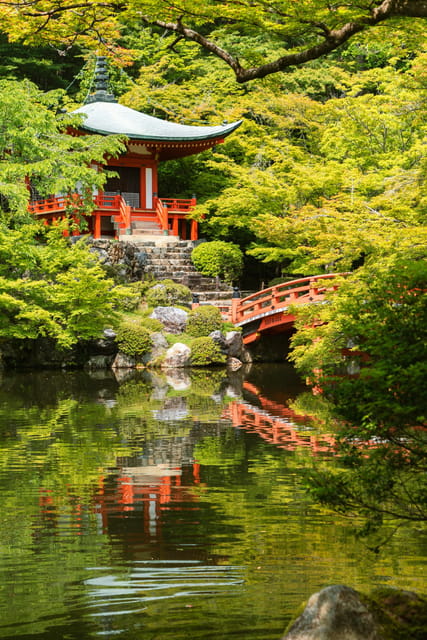 Kyoto/Osaka: Kyoto and Nara Customized Private Guided Tour - Trekking Through the Fushimi Inari Taisha Shrine