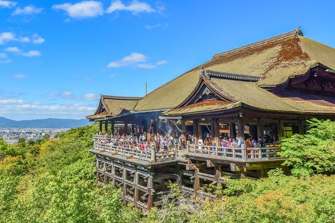 Kyoto Private Day Trip - Enjoy Your First-Time Visit to Kyoto! - Cost Breakdown and Responsibility